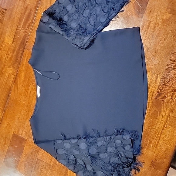 H&M | Tops | Hm Fun Feather Blouse | Poshmark